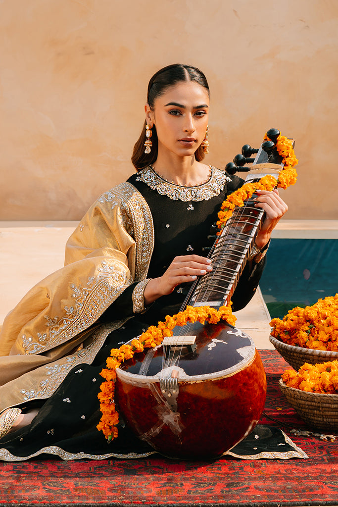 RAVEN ETHEREAL-2 PIECE ORGANZA EMBROIDERED SUIT